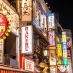 Tokyo: Private tour of Beckoning Cat Painting at Yanaka - Final Thoughts: Is This Tour Right for You?