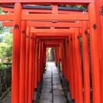Tokyo Private Tour to Learn History and Shinto - Authentic Experiences and Review Highlights