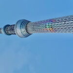 Tokyo private tour with English speaking driver - Strolling Through Shinjuku Gyoen National Garden