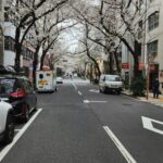 Tokyo Private Tour With English Speaking Driver - Exploring Tokyo in Your Own Style
