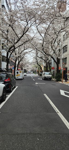 Tokyo Private Tour With English Speaking Driver - Exploring Tokyo in Your Own Style