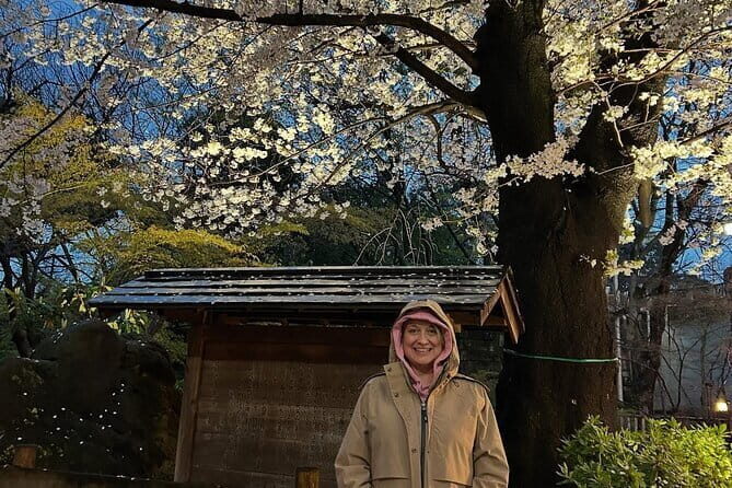 Tokyo Sakura Cherry Blossom Viewing w/One Sake Hanami Bento - A Detailed Journey Through the Cherry Blossom Tour