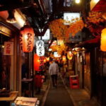 Tokyo: Shinjuku Bar and Izakaya Hopping Tour - Who would enjoy this tour most?