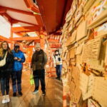 Tokyo: Shinjuku Historical Walking Tour & Secret Backstreets - Who Should Consider This Tour?