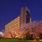 Tokyo, Shinkansen, Disneyland, Yokohama, City to City Transfer - Final Thoughts