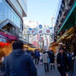 Tokyo Shopping Street Private Tour Government Licensed Guide - Why Choose This Tour?