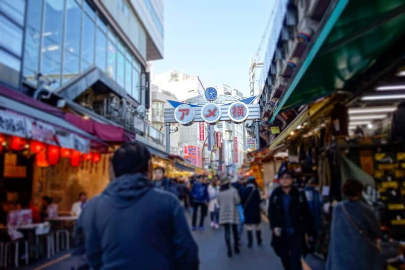 Tokyo Shopping Street Private Tour Government Licensed Guide - Why Choose This Tour?