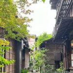 Tokyo : Stroll in the Old traditional town~Yanaka & Nezu - Authenticity and Expert Guidance