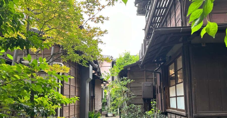 Tokyo : Stroll in the Old traditional town~Yanaka & Nezu - Authenticity and Expert Guidance