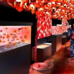 Tokyo Sumida Aquarium E-Ticket with Optional Tokyo Metro Pass - Visiting Tips and Practical Details