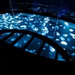 Tokyo: Sumida Aquarium Entry Ticket - Who Should Visit?