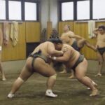 Tokyo Sumo Morning Practice Tour at Stable - Who Should Consider This Tour?