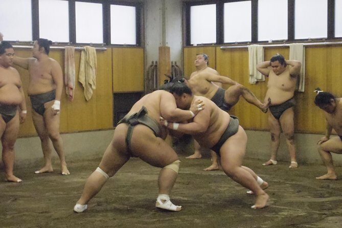 Tokyo Sumo Morning Practice Tour at Stable - Who Should Consider This Tour?