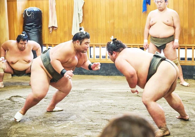 Tokyo: Sumo Morning Practice Viewing Tour at a Real Stable - An In-Depth Look at the Experience