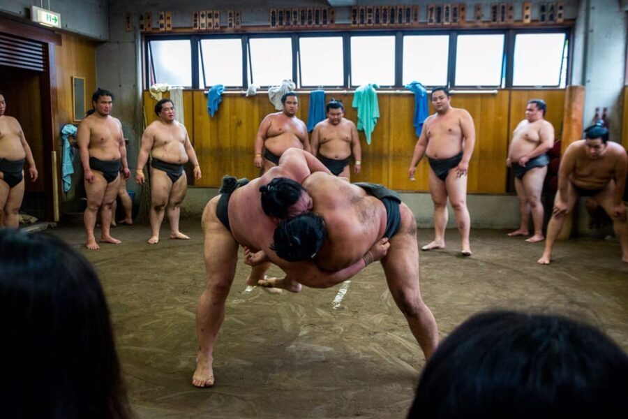 Tokyo: Sumo Morning Practice Viewing Tour - What Makes This Tour a Great Value