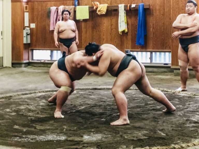 Tokyo: Sumo Morning Training Visit - Practical Details and What It Means for You