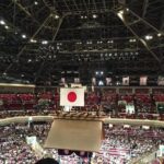 Tokyo Sumo Wrestling Tournament Experience - FAQ About the Tokyo Sumo Wrestling Tour