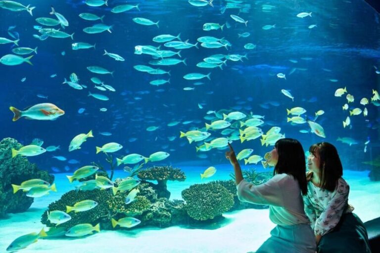 Tokyo: Sunshine Aquarium Entry Ticket - Judging the Value: Price vs. Experience
