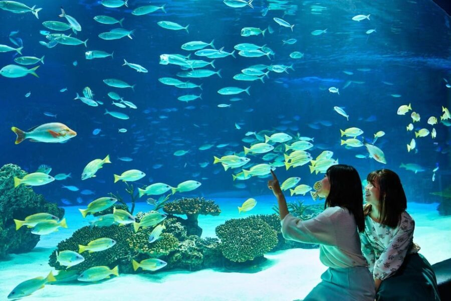Tokyo: Sunshine Aquarium Entry Ticket - Judging the Value: Price vs. Experience