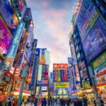 Tokyo: Tailored Shopping Escape Tour - Practicalities and Expectations
