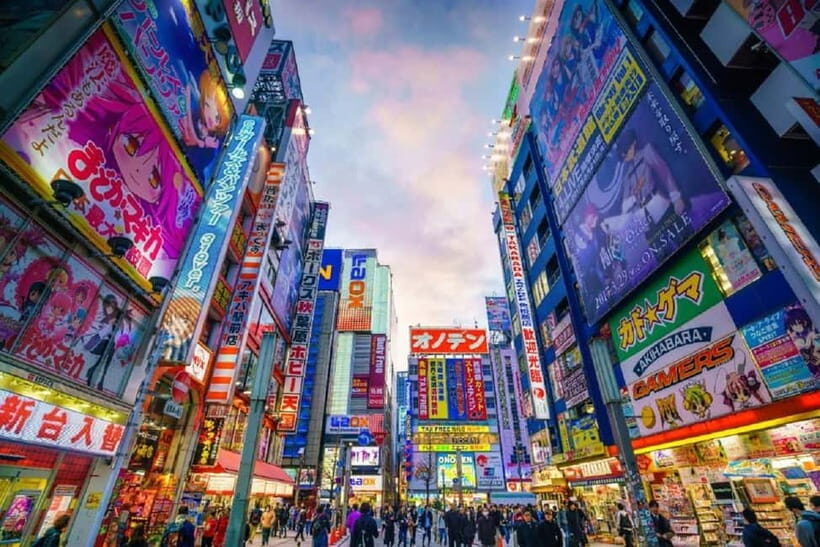 Tokyo: Tailored Shopping Escape Tour - Practicalities and Expectations