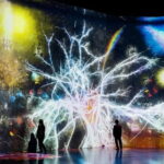Tokyo: teamLab Borderless Museum Admission Ticket - Price and Practical Considerations