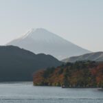 Tokyo to Hakone | Private and Personalized Day Trip with a Local - Logistics and Value