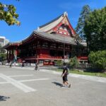 Tokyo: Tokyo Private Customize Day Tour With English Driver - What You Can Customize and Explore