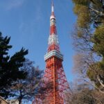 Tokyo, Top 3 Hidden Tokyo Tower Photo Spots and Local Shrine Tour - The Itinerary in Detail