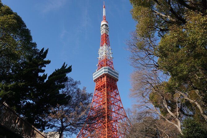 Tokyo, Top 3 Hidden Tokyo Tower Photo Spots and Local Shrine Tour - The Itinerary in Detail
