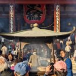 Tokyo: Tour Privado por Tokio en español - The Logistics: What You Should Know