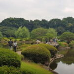 Tokyo Walk through: Shinjuku, Harajuku, Omotesando & Shibuya - The Value of a Guided Walking Tour