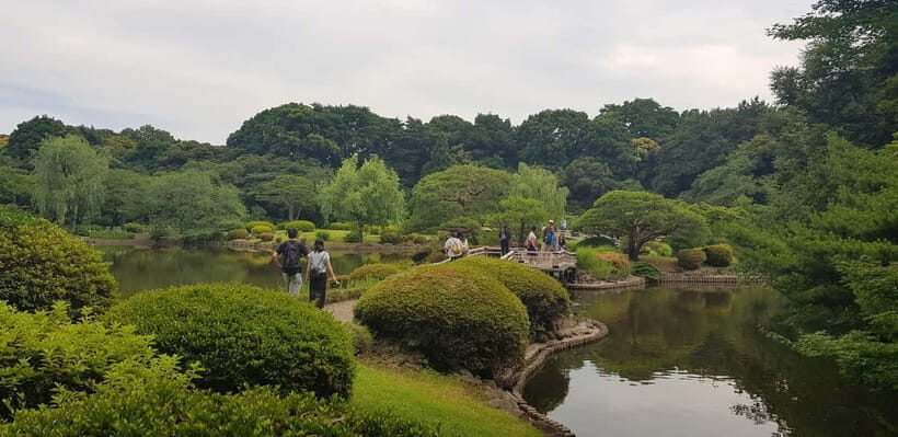 Tokyo Walk through: Shinjuku, Harajuku, Omotesando & Shibuya - The Value of a Guided Walking Tour