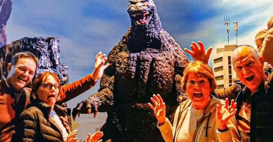 Tokyo Walking Tour with Licensed Guide Shinjuku - Who Should Consider This Tour?