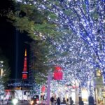 Tokyo Winter Illumination Ebike Tour - In-Depth Look at the Itinerary