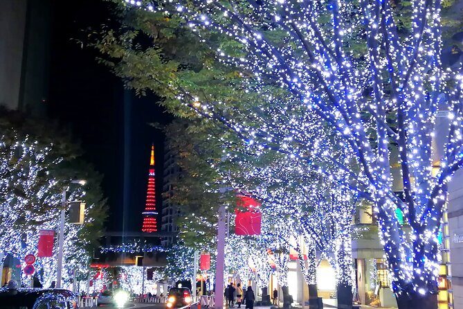 Tokyo Winter Illumination Ebike Tour - In-Depth Look at the Itinerary