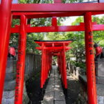 Tokyo: Yanaka & Ueno,  Tokyo of Tradition Guided Tour - A Step-by-Step Look at the Experience