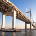 Tokyo: Yokohama Day and Night Tour with English Speaking Driver - Authentic Experiences & Real Traveler Feedback