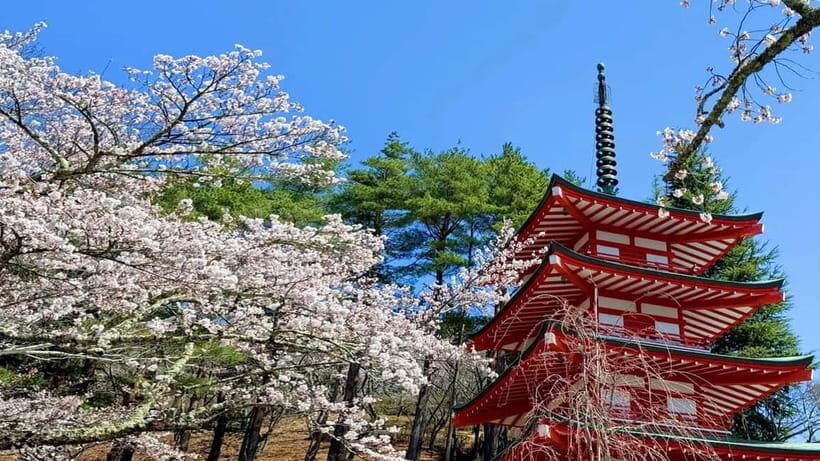 Tokyo:Fuji-Kawagu Cable Car (Ticket Inc.) Shinkurayama&Panos - Transportation and Practical Details