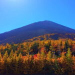 Tokyo:Mt.Fuji 5th Station,Oshino Hakkai&Kawaguchiko Day Tour - An In-Depth Look at the Tour