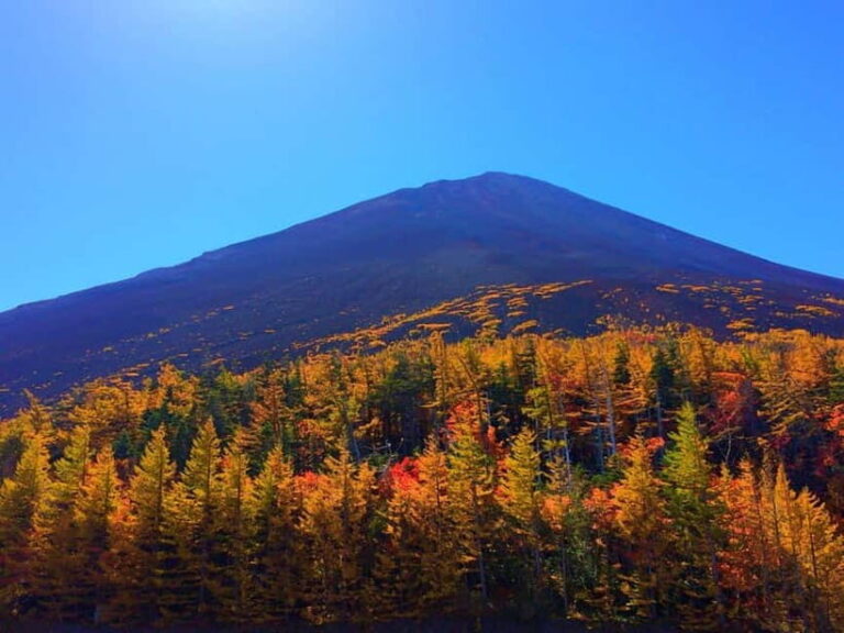 Tokyo:Mt.Fuji 5th Station,Oshino Hakkai&Kawaguchiko Day Tour - An In-Depth Look at the Tour