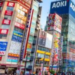 Tokyo's History and Architecture: A Self-Guided Walking Tour - Key Points