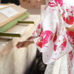 :Tokyo,Shibuya /Meiji Shrine tour in KIMONO/English-friendly - The Itinerary and What You’ll Experience