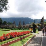 Top North Part Of Bali and Scenic SightseeingTours - Who Should Consider This Tour?