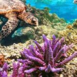 Top Snorkeling Experience in Puerto Morelos Reef - Why You Might Choose This Tour