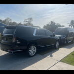 Toronto: Exclusive Private Wine Tour Experience - Who Will Love This Tour?