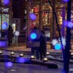 Toronto: Festive Lights Bus Tour - Who Should Consider This Tour?