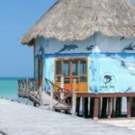 Tour 3 Islands in Holbox Premium Experience - A Closer Look at the Itinerary