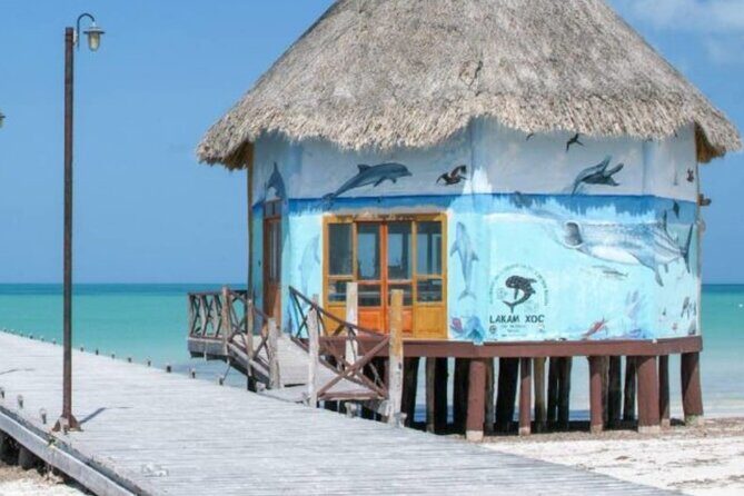 Tour 3 Islands in Holbox Premium Experience - A Closer Look at the Itinerary
