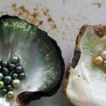 Tour Around Phu Quoc island By AC Minibuses - Who Will Love This Tour?